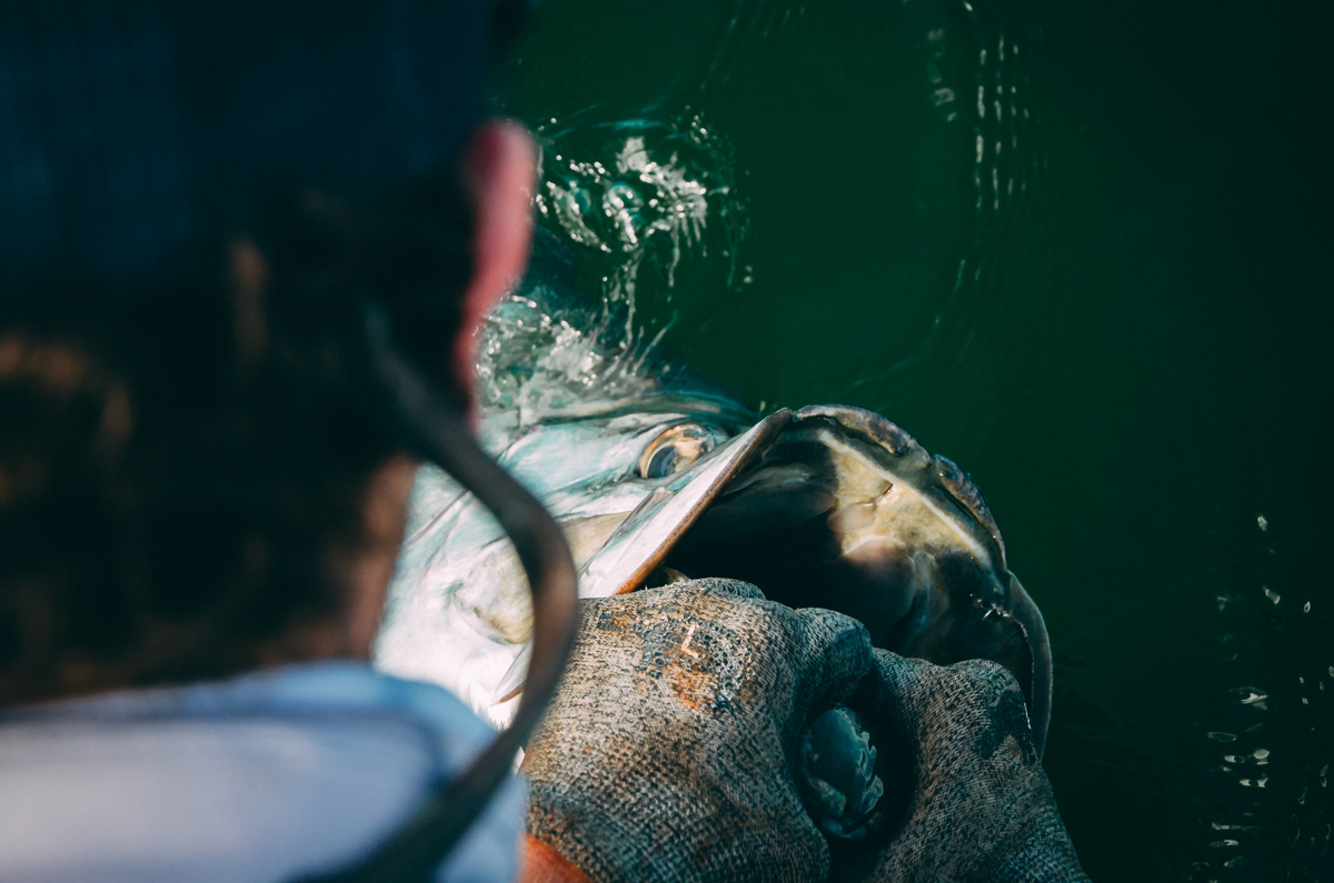 PANAMA CITY FLORIDA | FLY FISHING AND TARPON CHARTERS HOMEPAGE - FLY TIMES